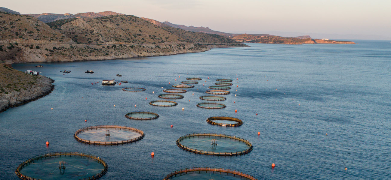 Ιχθυοκαλλιέργεια: Ανοδος εξαγωγών κατά 5% το 2019 -Οι προκλήσεις την ...