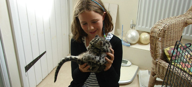 Mία λεοπάρδαλη στο μπάνιο -Οικογένεια τη μεγάλωσε μέσα στο σπίτι της σαν κατοικίδιο [εικόνες ...