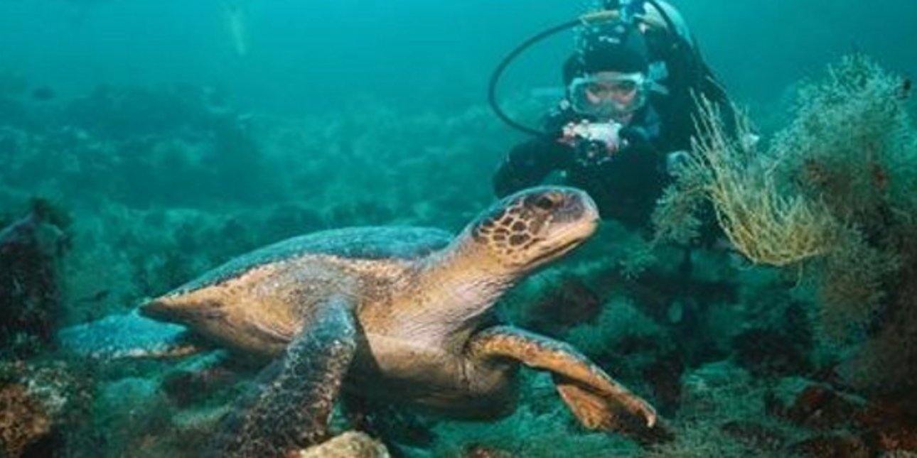 Oι 10 πιο εντυπωσιακοί προορισμοί για καταδύσεις ανά τον κόσμο [εικόνες ...
