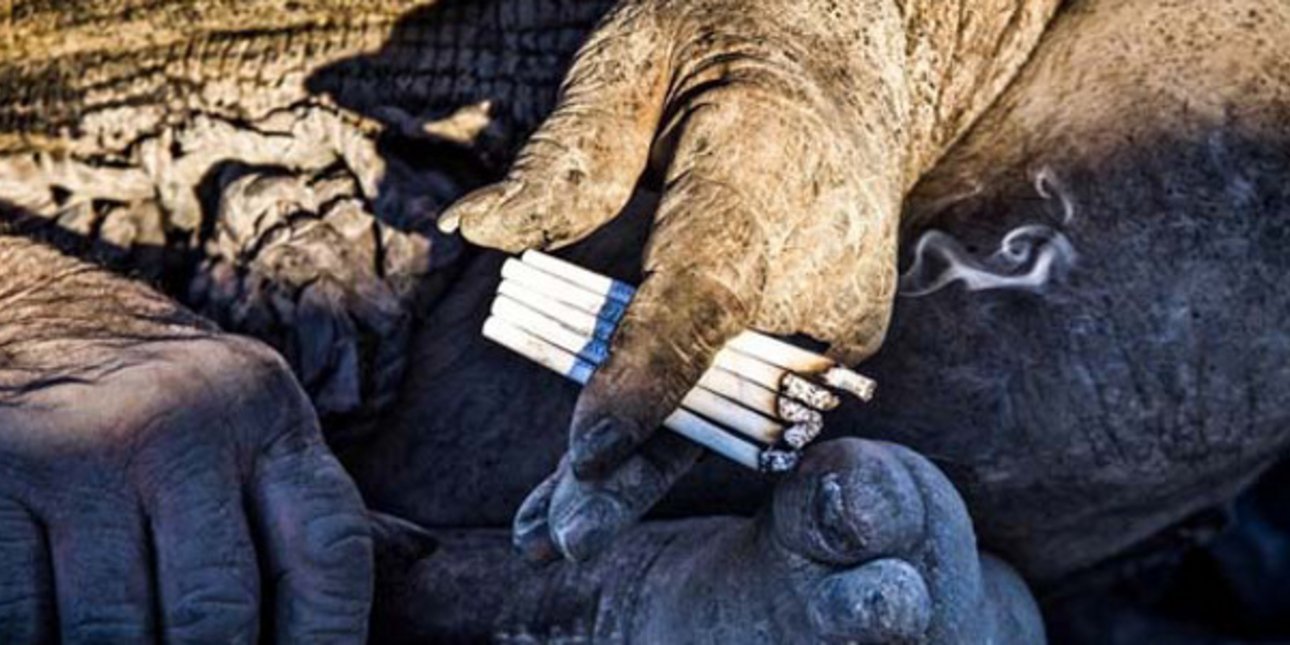 Ο 80χρονος που δεν έχει πλυθεί εδώ και 60 χρόνια -Ζει μια πρωτόγονη ζωή ...