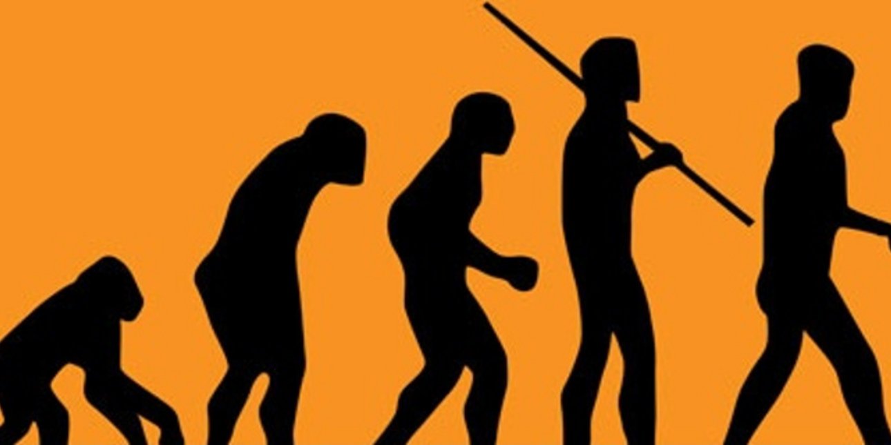 Πως από... πιθηκοειδή γίναμε άνθρωποι – Τα 14 σημεία «κλειδιά» στην ...