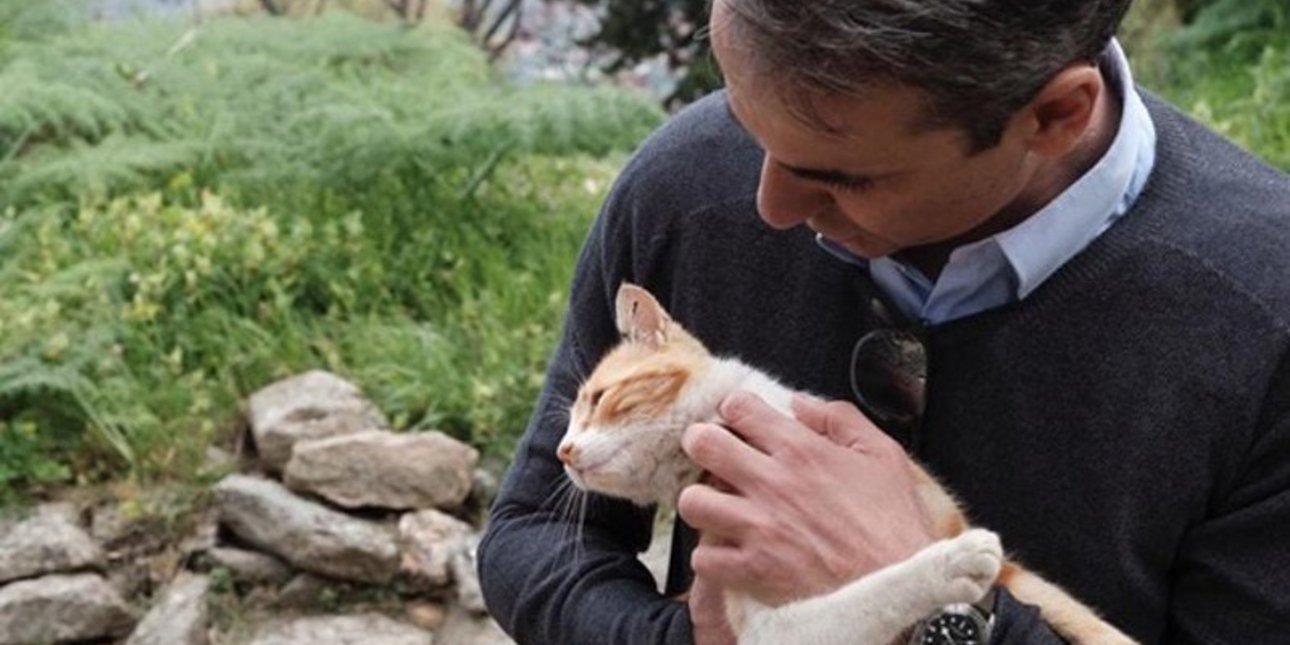 Ο Κυριάκος Μητσοτάκης και τα αδέσποτα γατιά και σκυλιά -Οι αγκαλιές, τα ...