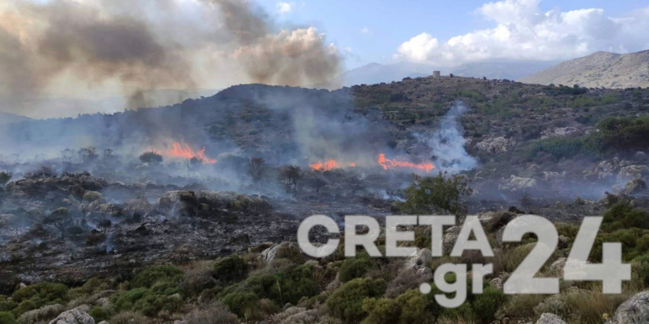 Φωτιά στο δάσος της Κέρης στην Κρήτη: Αμεση η επέμβαση της ...