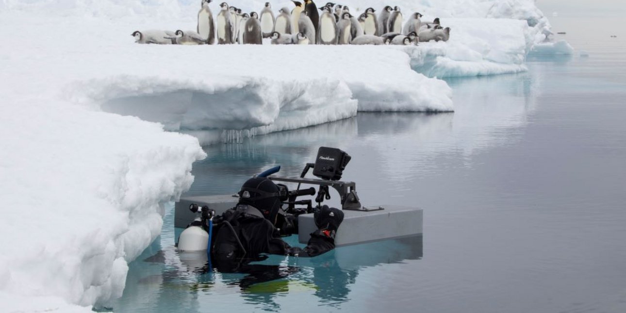 Frozen Planet II: Η συναρπαστική σειρά ντοκιμαντέρ του BBC έρχεται στον ...