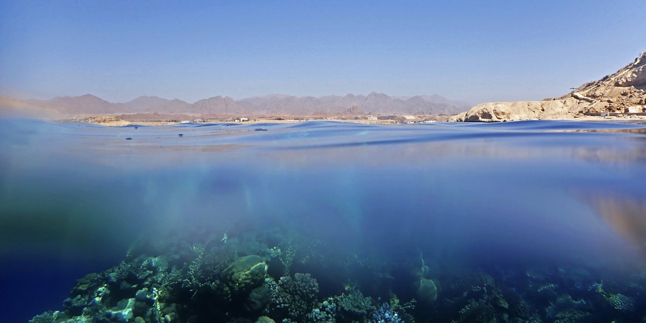 Ερυθρά Θάλασσα: Ρώσος σκοτώθηκε από επίθεση καρχαρία στα παράλια της ...