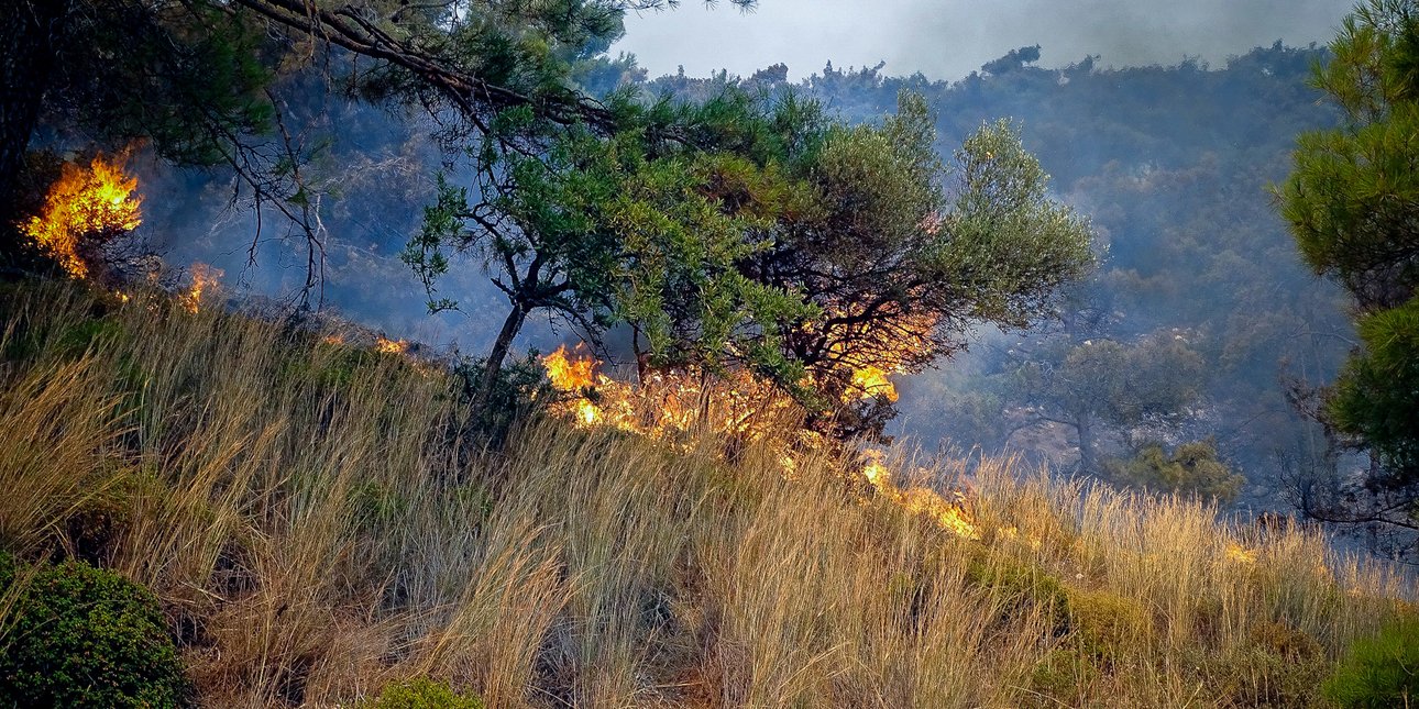 Σε εξέλιξη μεγάλη φωτιά στην Υλίκη Θηβών - iefimerida.gr