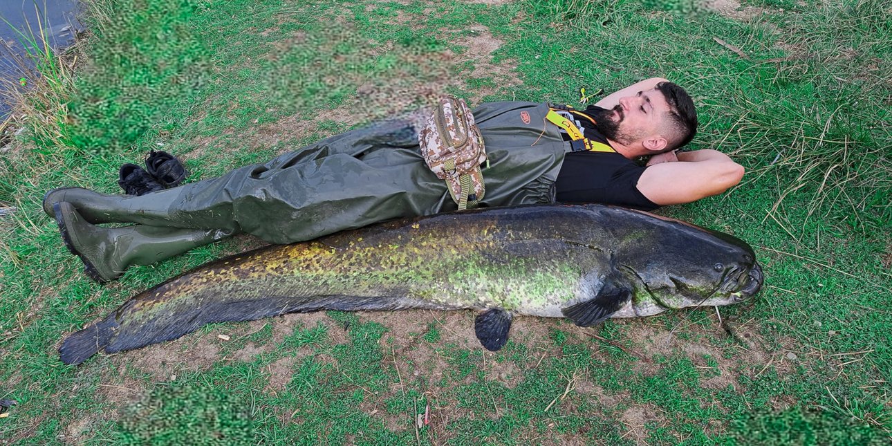 Μεγαλόπολη: Έπιασε ψάρι 70 κιλών σε λίμνη και το άφησε να ζήσει -«Μου πήρε 40 λεπτά» [εικόνες ...