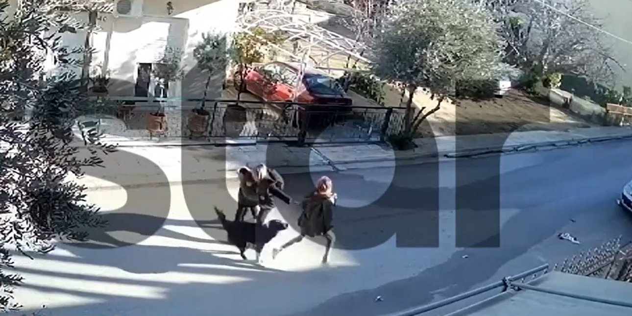 Η στιγμή της επίθεσης του σκύλου στο 9χρονο αγόρι στο Καματερό -Βίντεο ...