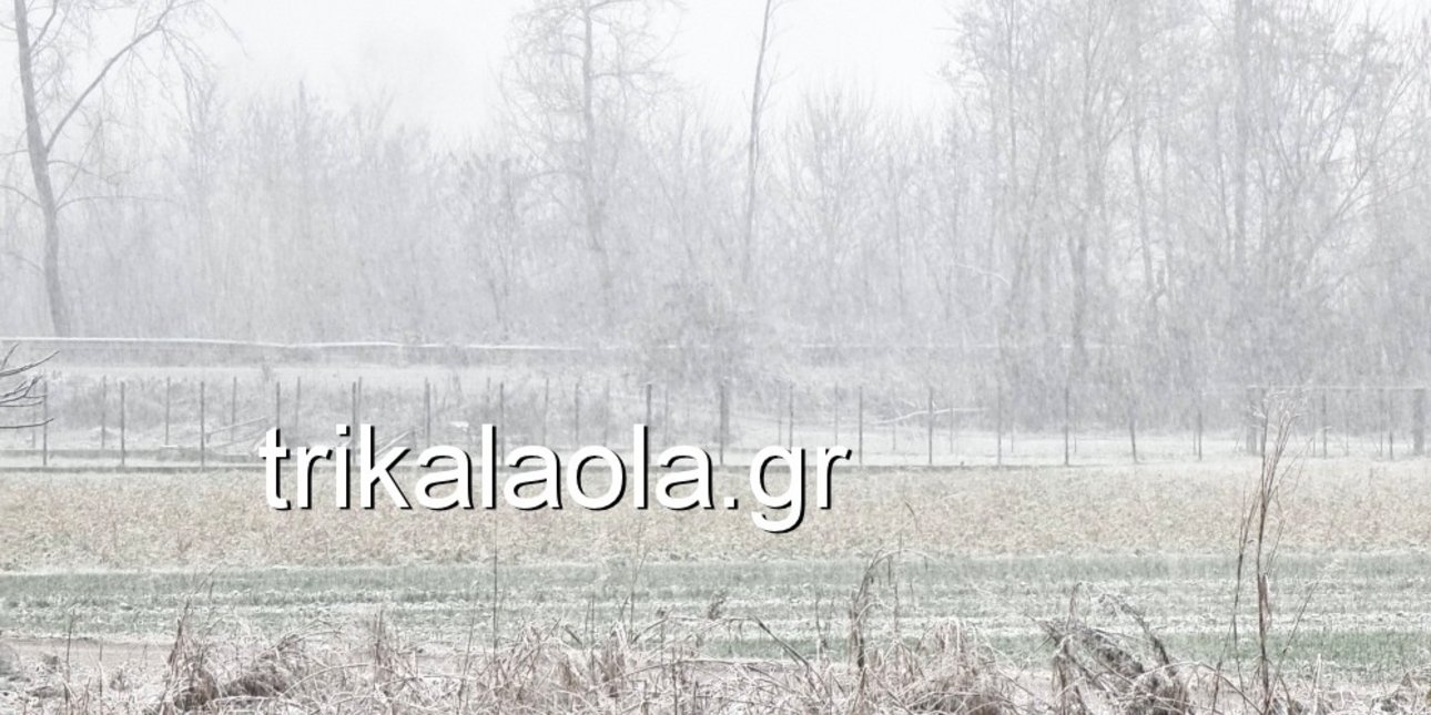 Στα «λευκά» τα Τρίκαλα: Έντονη χιονόπτωση ακόμη και στο κέντρο της πόλης -Έκλεισαν σχολεία ...