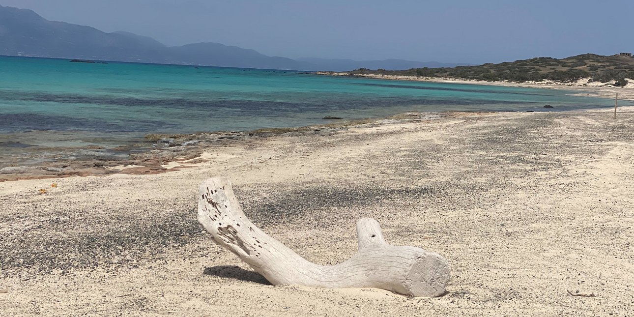 Αυτοψία στη νήσο Χρυσή: Βελτιωμένη η οικολογική κατάσταση στο ...