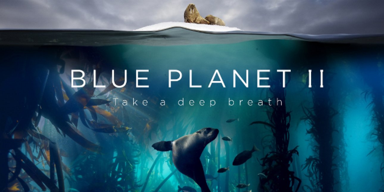 Blue Planet II: Το πολυαναμενόμενο ντοκιμαντέρ του BBC Earth κάνει ...