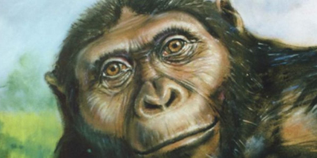 Μάλλον ο άνθρωπος δεν κατάγεται από την Αφρική! - iefimerida.gr