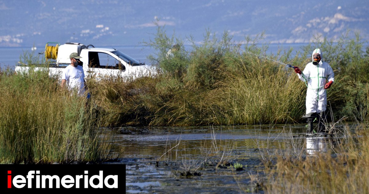Παίρνουν μέτρα στην Κεντρική Μακεδονία για την καταπολέμηση των ...