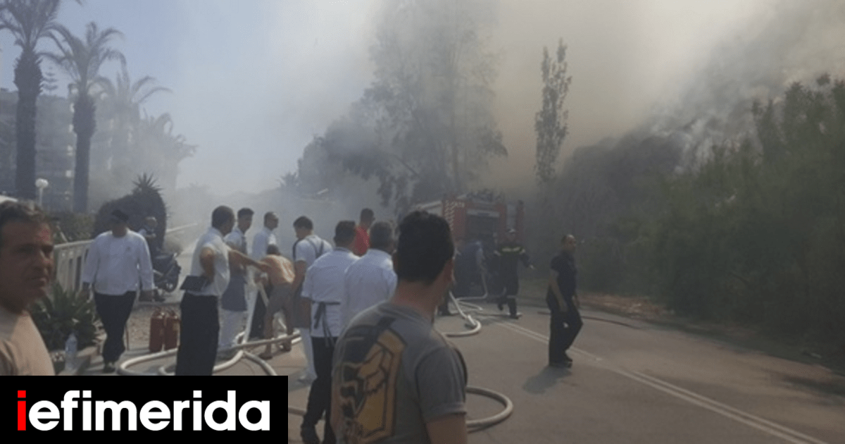 Ρόδος: Φωτιά κοντά σε μεγάλο ξενοδοχείο στο Φαληράκι - iefimerida.gr