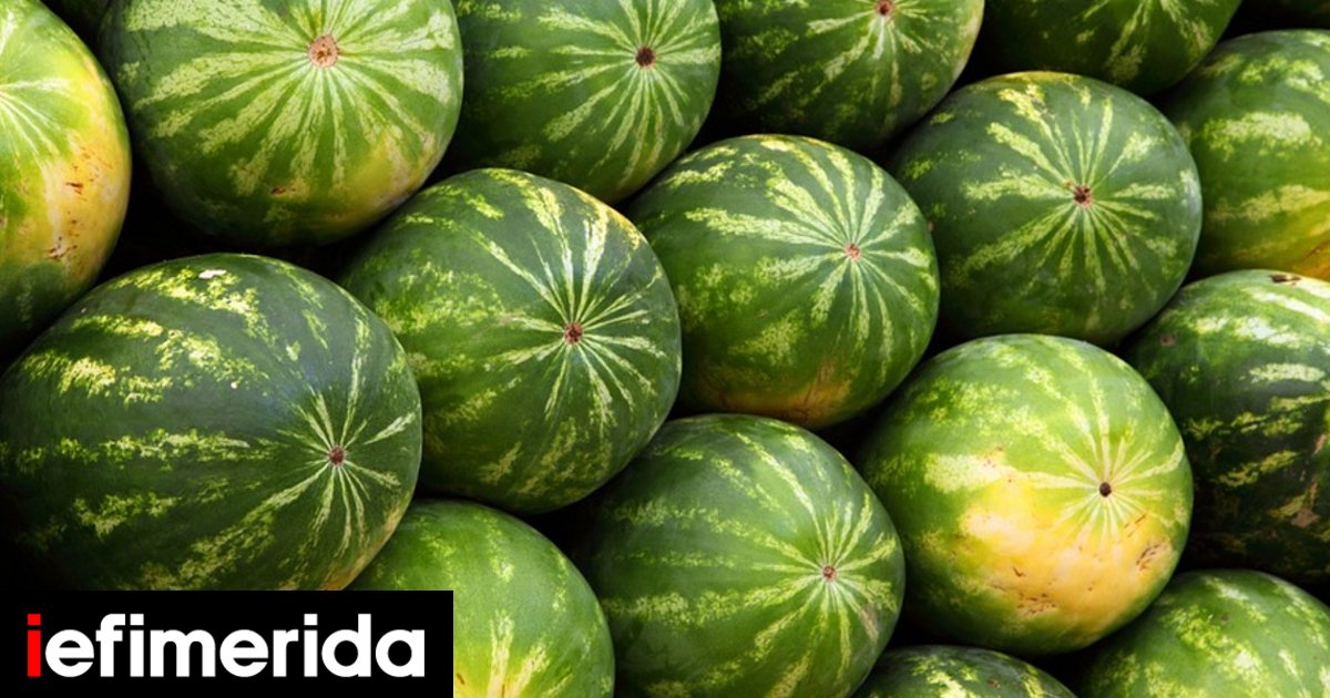 Πάνω από 11 τόνοι ακατάλληλα καρπούζια στου Ρέντη - iefimerida.gr