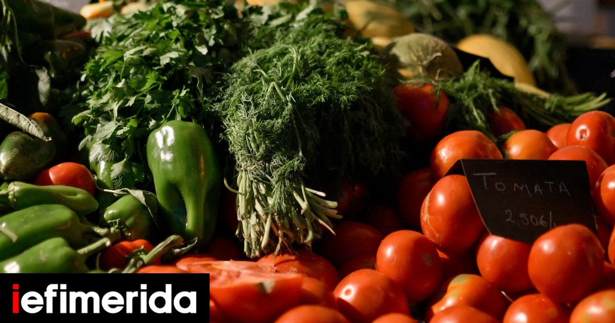 Θεσσαλονίκη: Ο δήμος ετοιμάζει γαστρονομικό χάρτη για vegan και vegeterian - iefimerida.gr