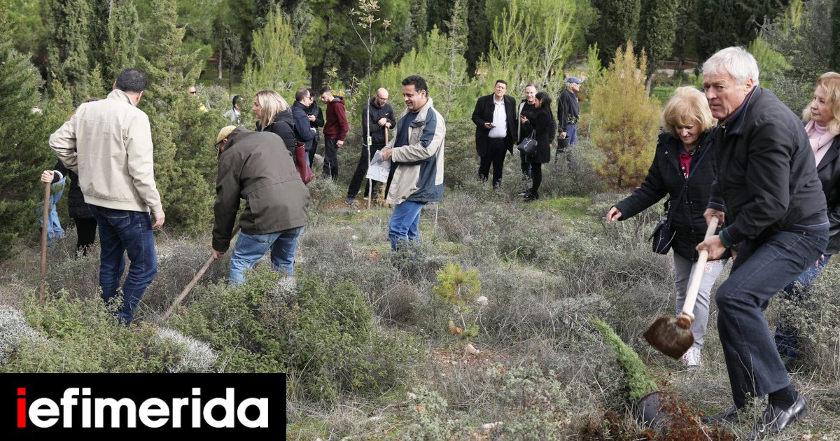 Δενδροφύτευση από τη Νέα Δημοκρατία: «Ο εθελοντισμός είναι ...