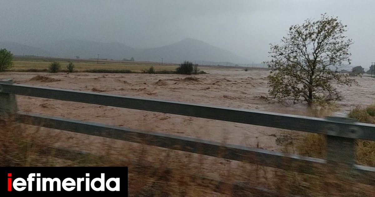 Ο «Ιανός» σάρωσε τα Φάρσαλα: Ανυπολόγιστες ζημιές σε σπίτια και ...
