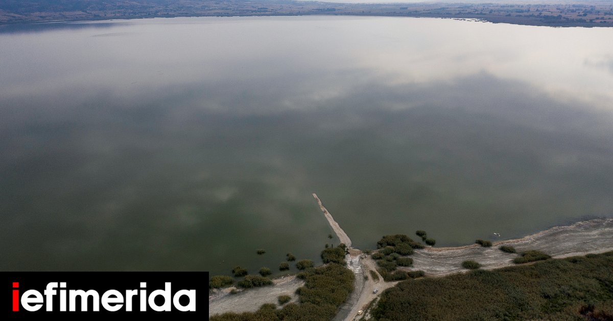 Καθηγήτρια προειδοποιεί για τη λίμνη Κορώνεια - iefimerida.gr