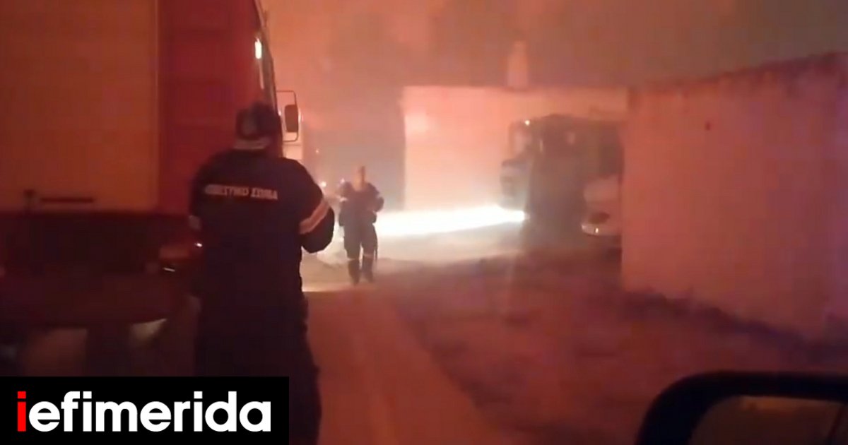Φωτιά στα Γεράνεια Ορη: Στιγμές τρόμου για πυροσβέστες και πολίτες που ...