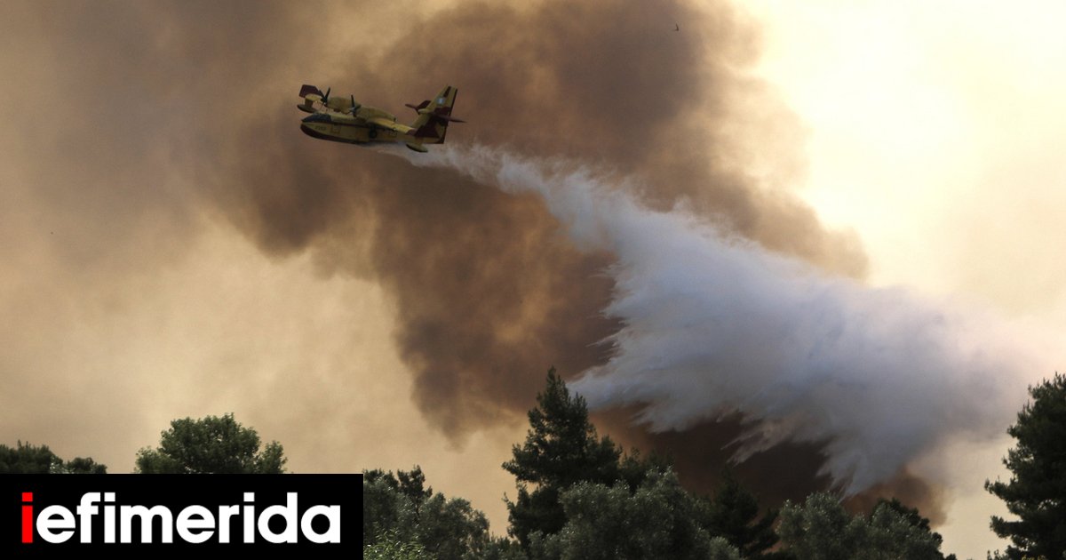 Αρχηγός Πυροσβεστικής: «Εικόνα ύφεσης παρουσιάζει η φωτιά στα Γεράνεια ...