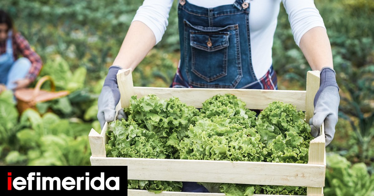 Η αγροτική πολιτική στην ΕΕ- Η σημασία για την ευρωπαϊκή οικονομία και ...