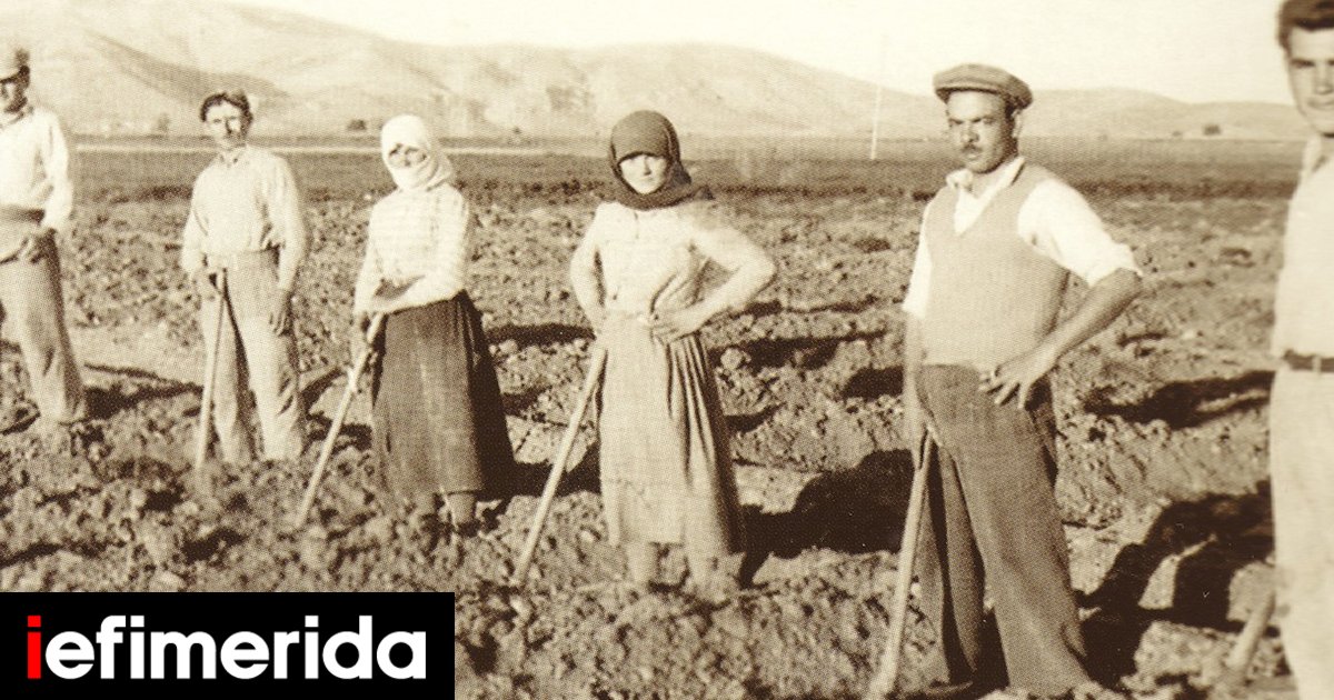 Οι αγρότες στον Ασπρόπυργο του '50 και οι μεταδοτικές ασθένειες ...
