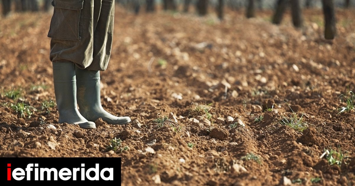 9 κράτη μέλη της ΕΕ έχασαν την προθεσμία κατάθεσης σχεδίου για την ...