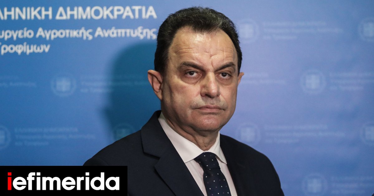 Γεωργαντάς: Δεν υπάρχει ζήτημα επάρκειας στα ράφια -Εικονικές ελλείψεις ...