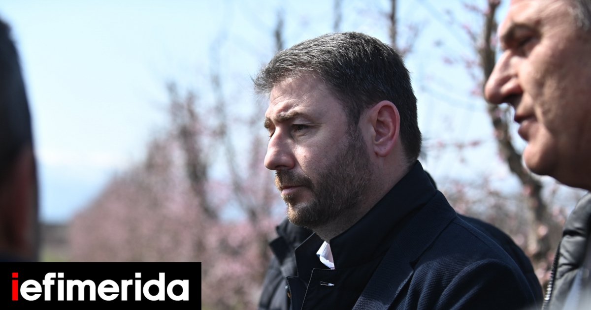 Ανδρουλάκης από Βέροια: Άμεσα να υπάρξει μείωση του ΕΦΚ στο πετρέλαιο ...