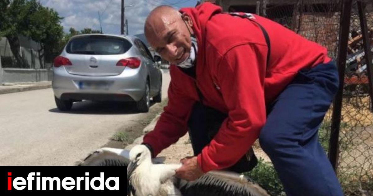 Θλίψη στη Λαμία: «Έφυγε» γνωστός αθλητής του bodybuilding - iefimerida.gr