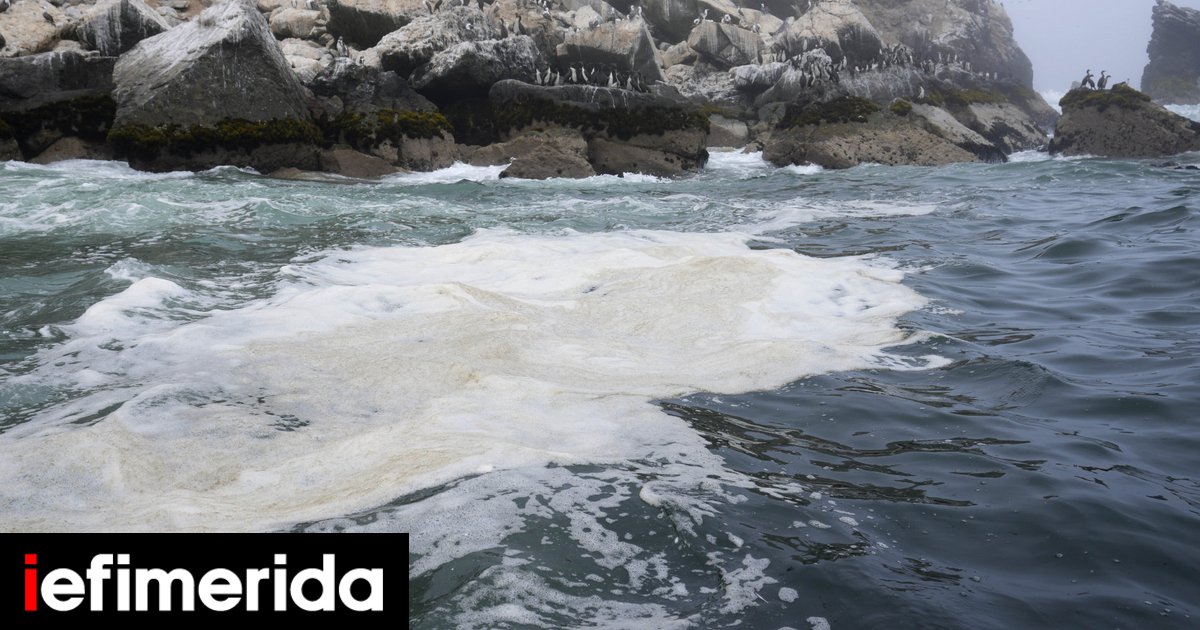 Έρευνα: Οι άνθρωποι ευθύνονται για πάνω από το 90% των πετρελαιοκηλίδων ...