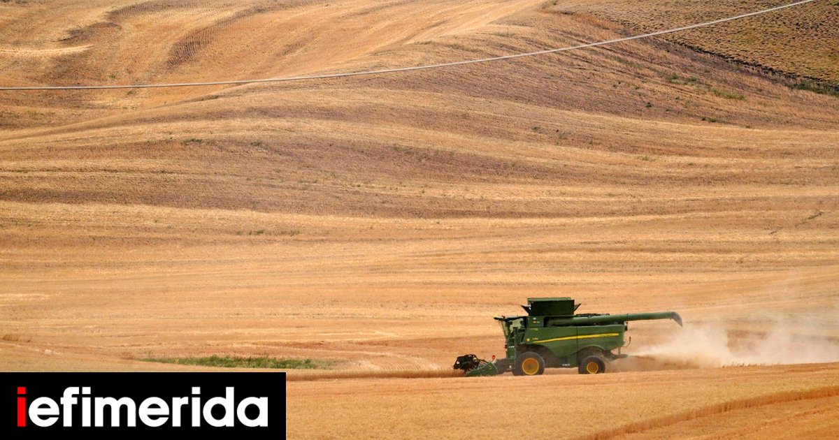 ΟΠΕΚΕΠΕ: Κατατέθηκαν 197,5 εκατ. Ευρώ σε αγρότες -Ποιοι επωφελήθηκαν ...