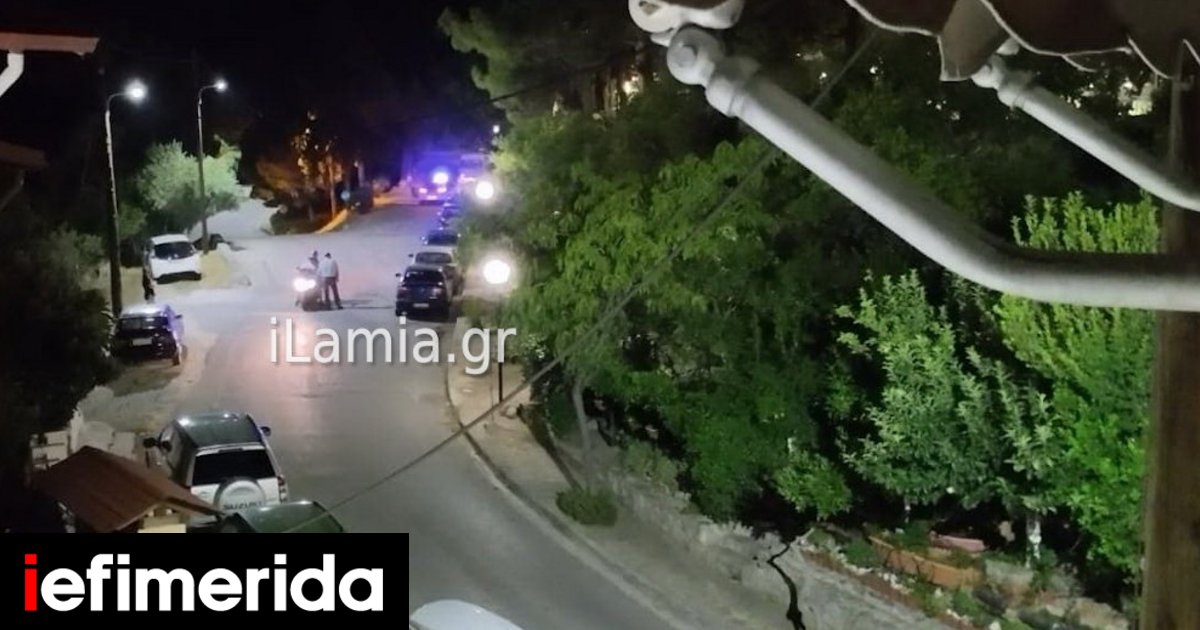Λαμία: Κάλεσαν την Αστυνομία να απομακρύνει τα… αγριογούρουνα [βίντεο ...