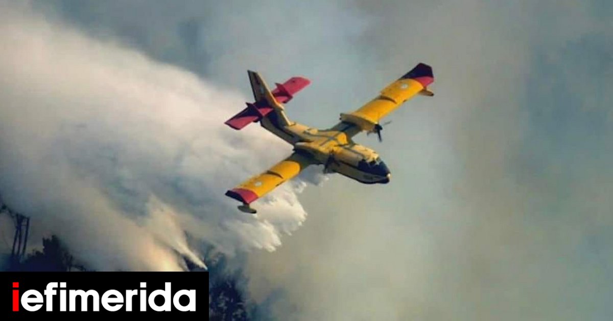Φωτιά στο Αγιο Ορος: Επιχειρούν 4 καναντέρ και ένα ελικόπτερο, 43 ...