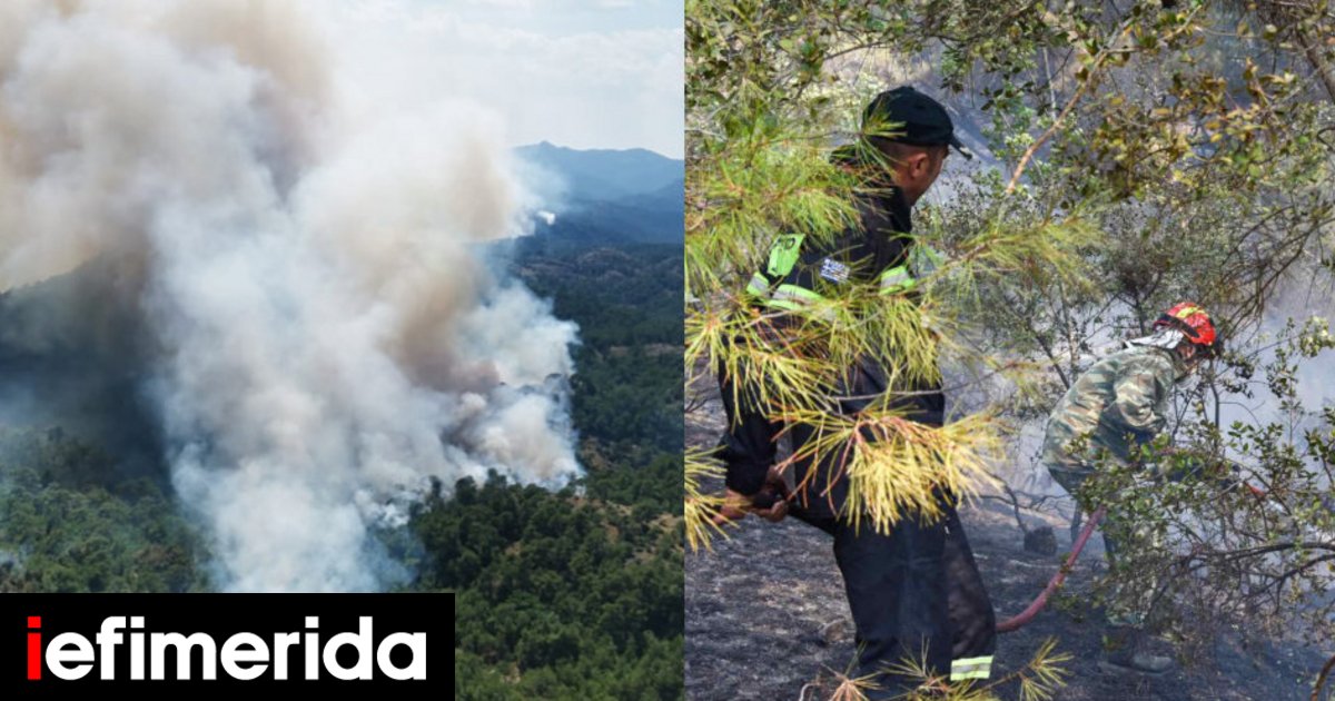 Στην πυρκαγιά στελέχη της Μονάδας Διαχείρισης Προστατευόμενων Περιοχών ...