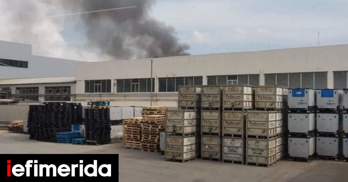 Μάνδρα Αττικής: Έσβησε η φωτιά σε εργοστάσιο ανακύκλωσης στη θέση Μαύρο ...