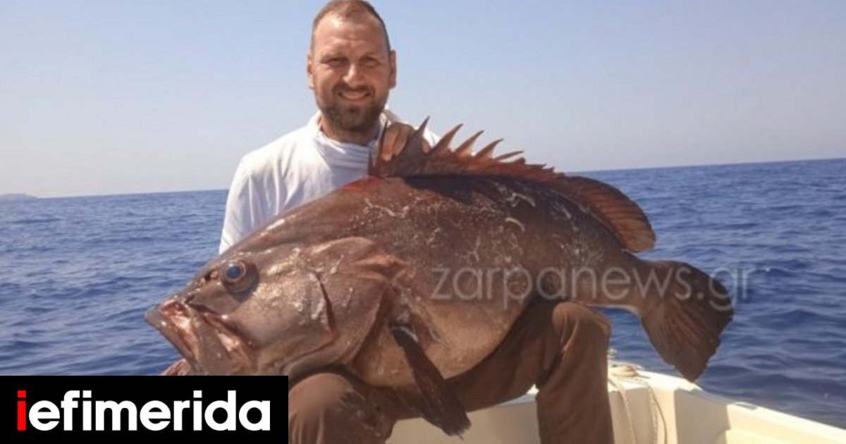 Χανιά: Δύο φίλοι έπιασαν ψάρι 42 κιλών -Απίστευτες φωτογραφίες ...