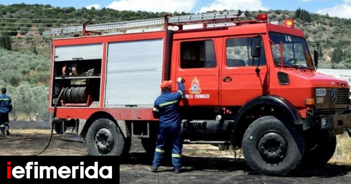 Φωτιά στο Αγιο Ορος -Σε δασική έκταση της Μονής Μεγίστης Λαύρας ...