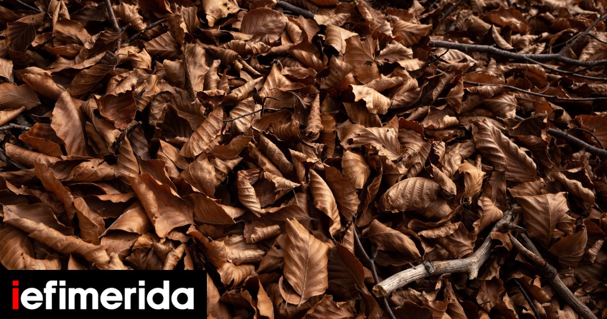 Κρυώνει κι άλλο ο καιρός, «μυρίζει» φθινόπωρο -Πού είναι πιθανόν να ...