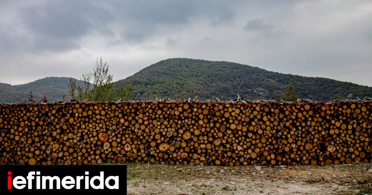 Θεσσαλονίκη: «Καπνός» έγιναν 20 τόνοι καυσόξυλα που θα μοιράζονταν ...