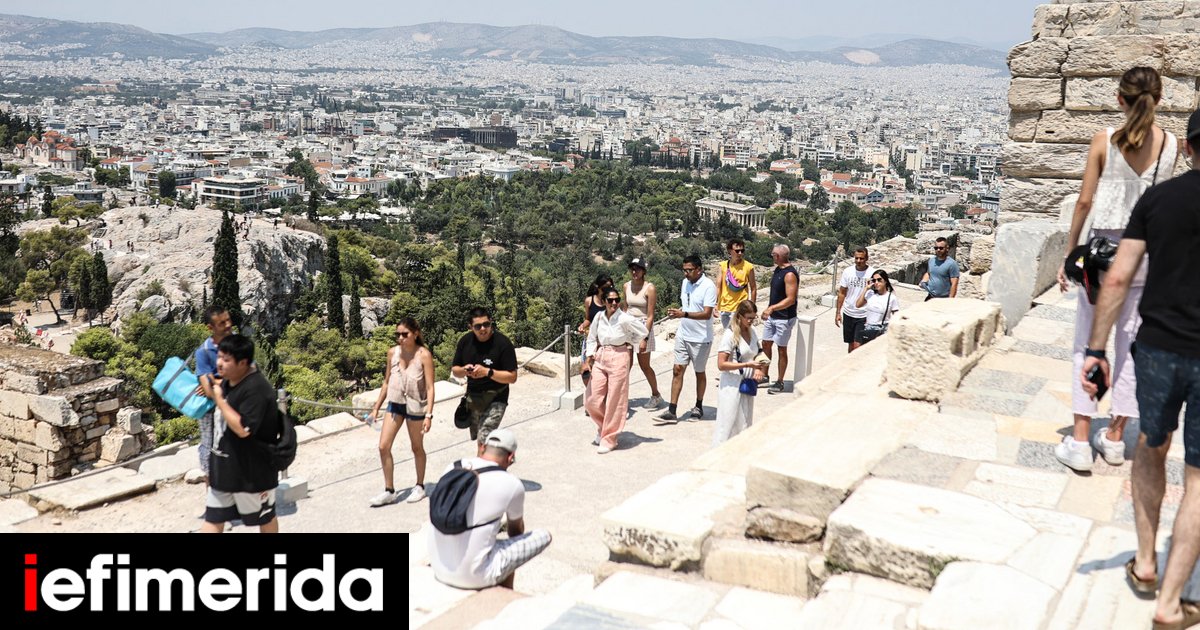 Rare Plant, Once Thought Extinct, Thrives on Acropolis Slopes ...