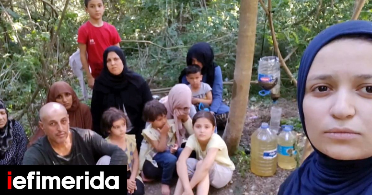 Human Rights 360°: Εσφαλμένα θεωρήσαμε ελληνικό έδαφος τη νησίδα στον Έβρο όπου βρέθηκαν αρχικά ...