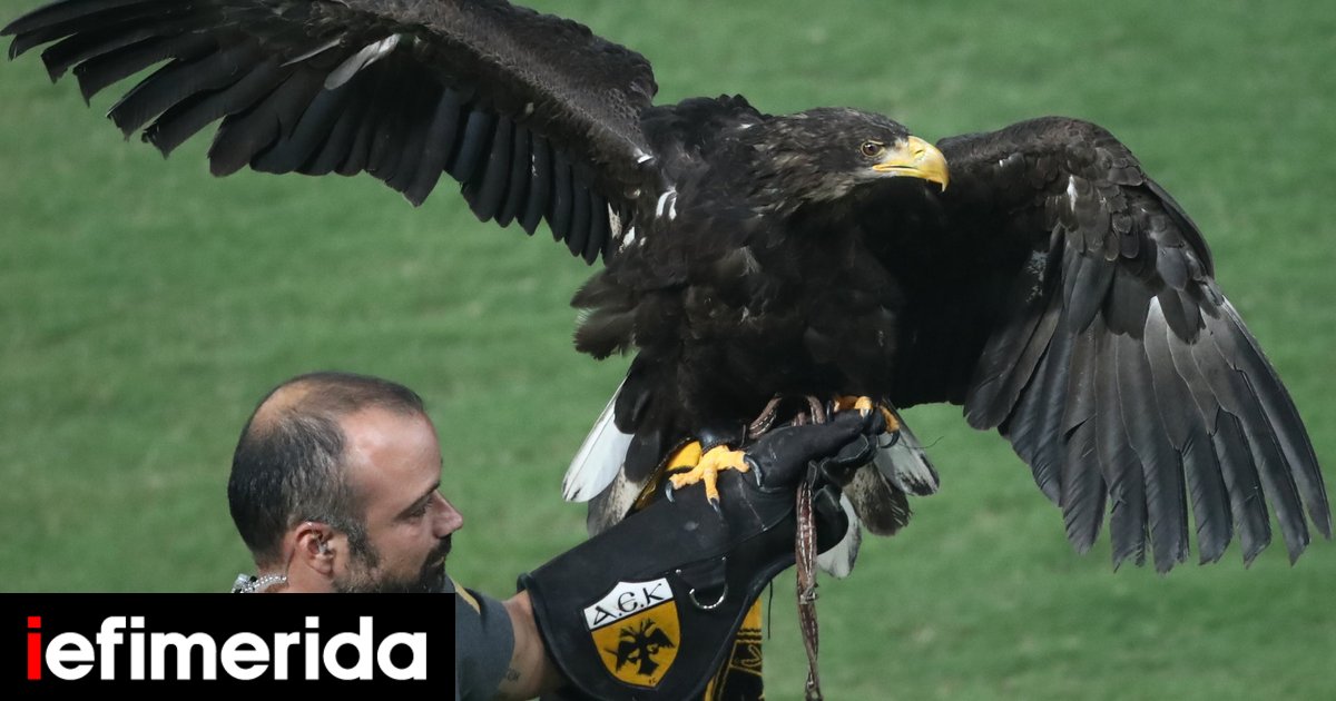 ΑΕΚ: Πώς πήρε το όνομά του ο αετός Οδυσσέας -Η θλιβερή ιστορία από την ...
