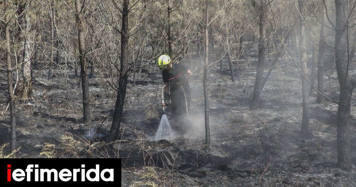 «Κλείδωσαν» οι αποζημιώσεις του ΕΛΓΑ για τις καταστροφές που προκάλεσαν ...