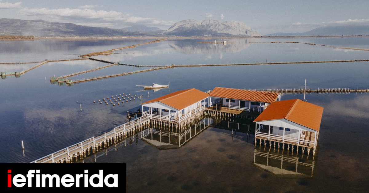 Το χρυσάφι της λιμνοθάλασσας –Μάθαμε τα πάντα για το αυγοτάραχο ...