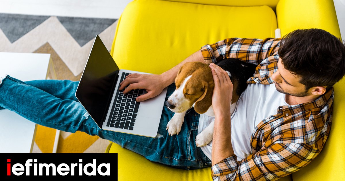 Είναι η Τρίτη η νέα Δευτέρα; Πώς η τηλεργασία άλλαξε την εργασιακή ...