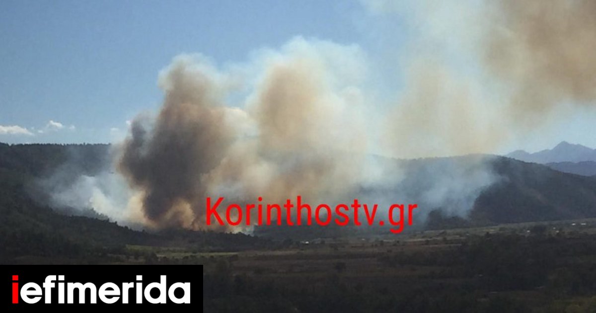 Κόρινθος: Πυρκαγιά στην περιοχή Καίσαρι τού Δήμου Σικυωνίων -Ισχυρές ...