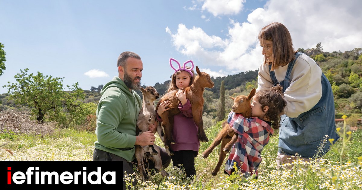 H NN Hellas μεγαλώνει και συνεχίζει να στηρίζει τα όνειρά μας - iefimerida.gr