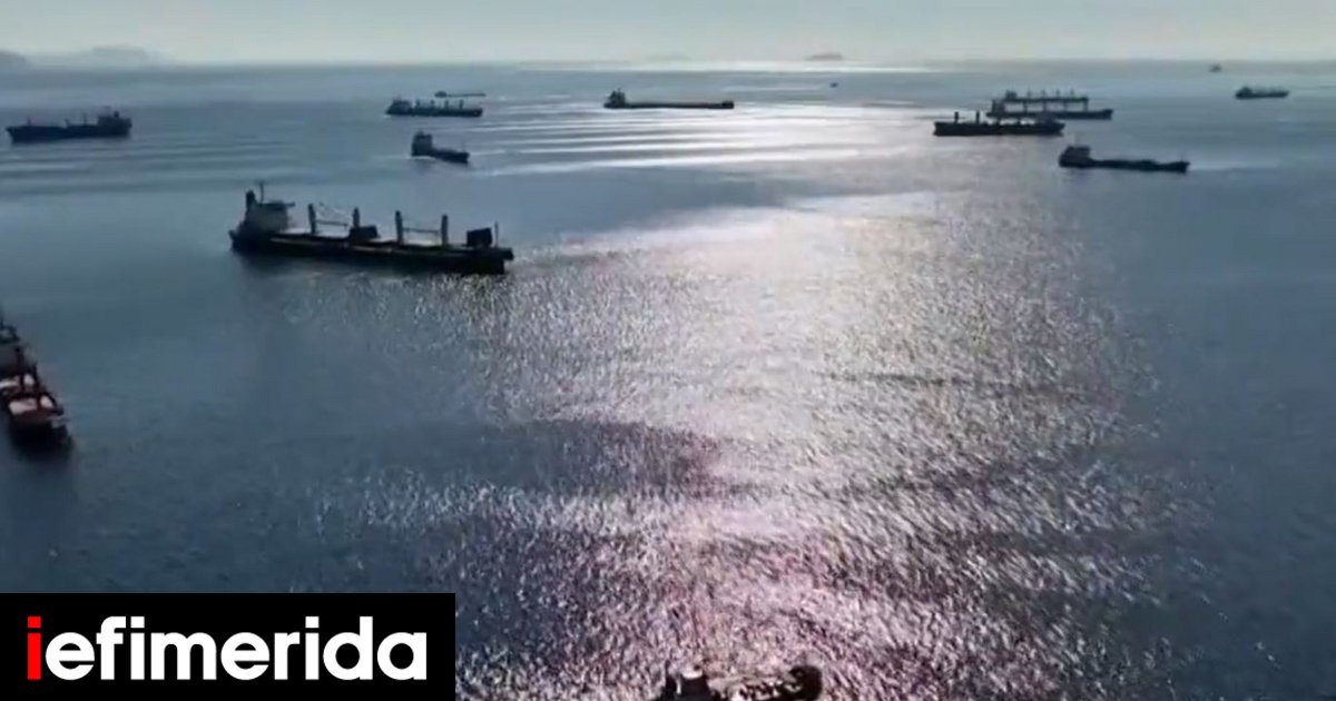Ρωσία: Πάνω από 30 θαλάσσια κήτη βρέθηκαν νεκρά στη Μαύρη Θάλασσα- Μετά ...
